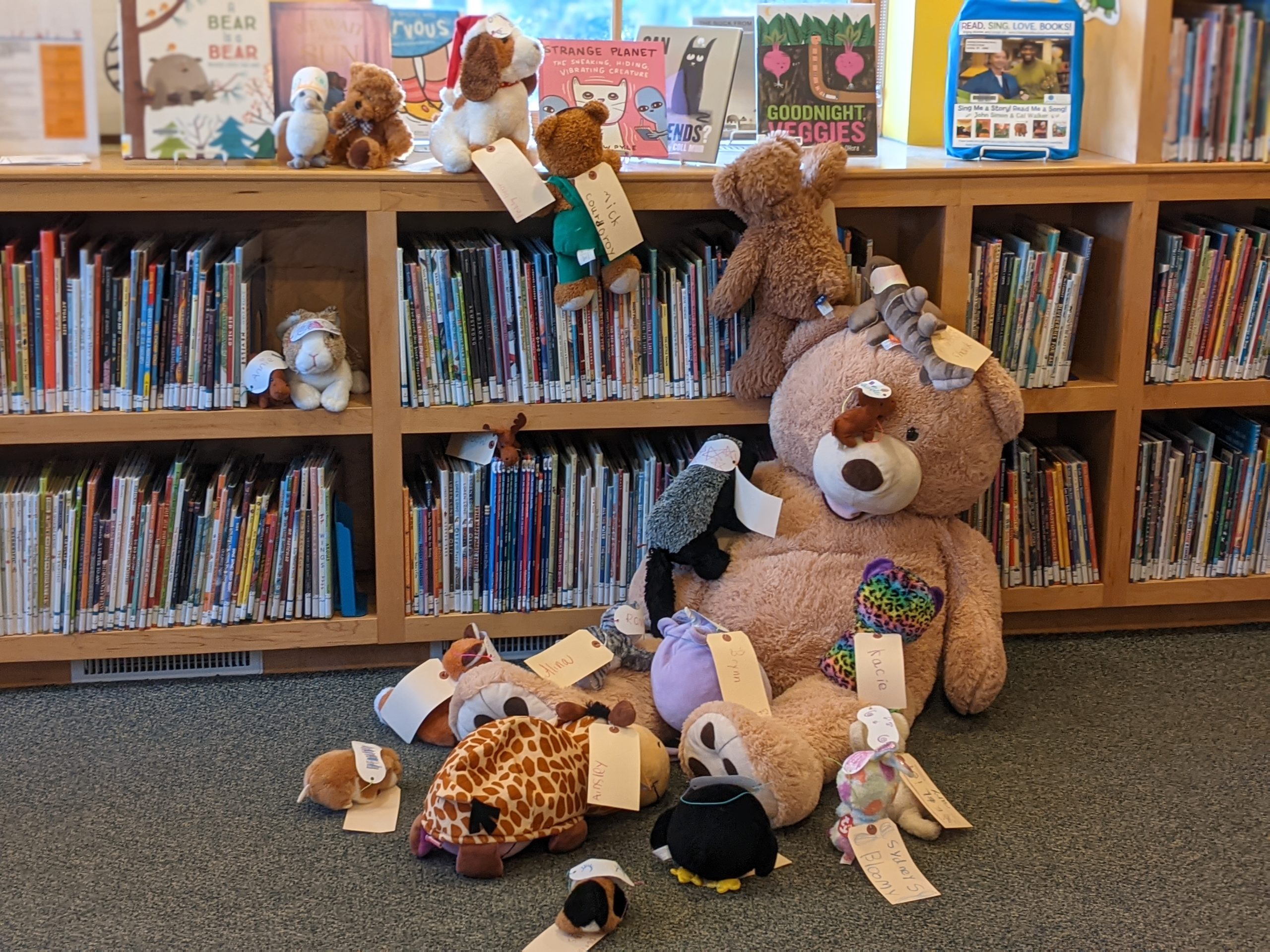 Stuffed Animal Storytime Sleepover A Success - Lansing Community Library