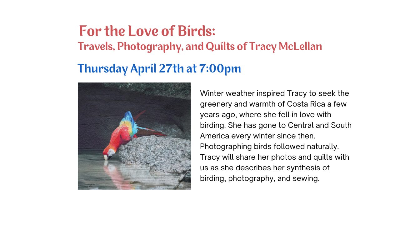 For the Love of Birds: Travels, Photography, and Quilts of Tracy ...