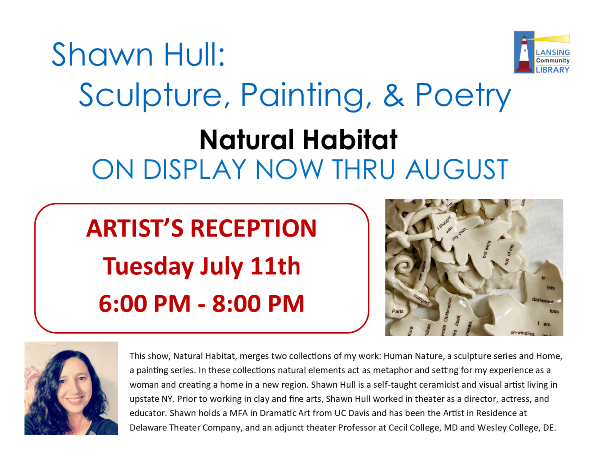 Artist's Reception with Shawn Hull - Lansing Community Library