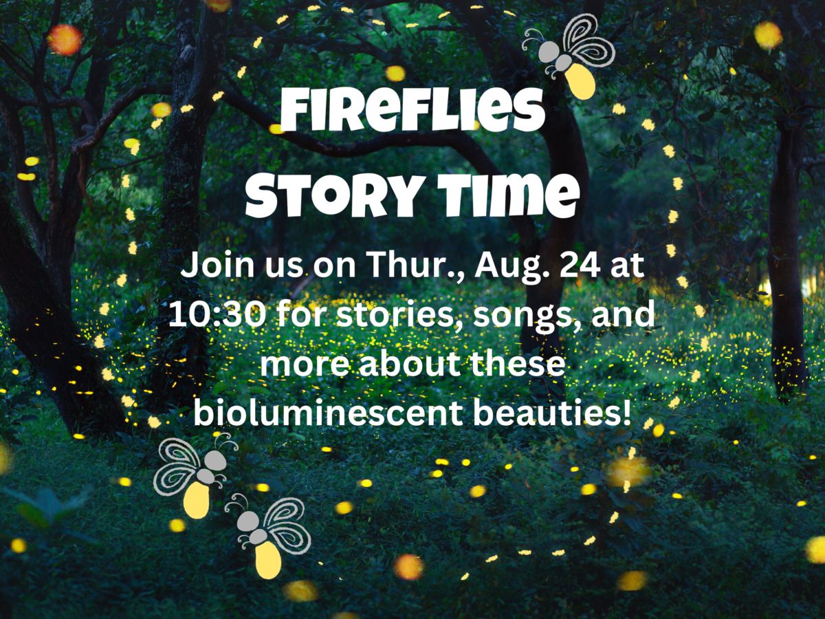Fireflies Story Time - Lansing Community Library
